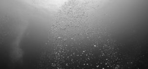 Sizing Charts – Ocean Pro